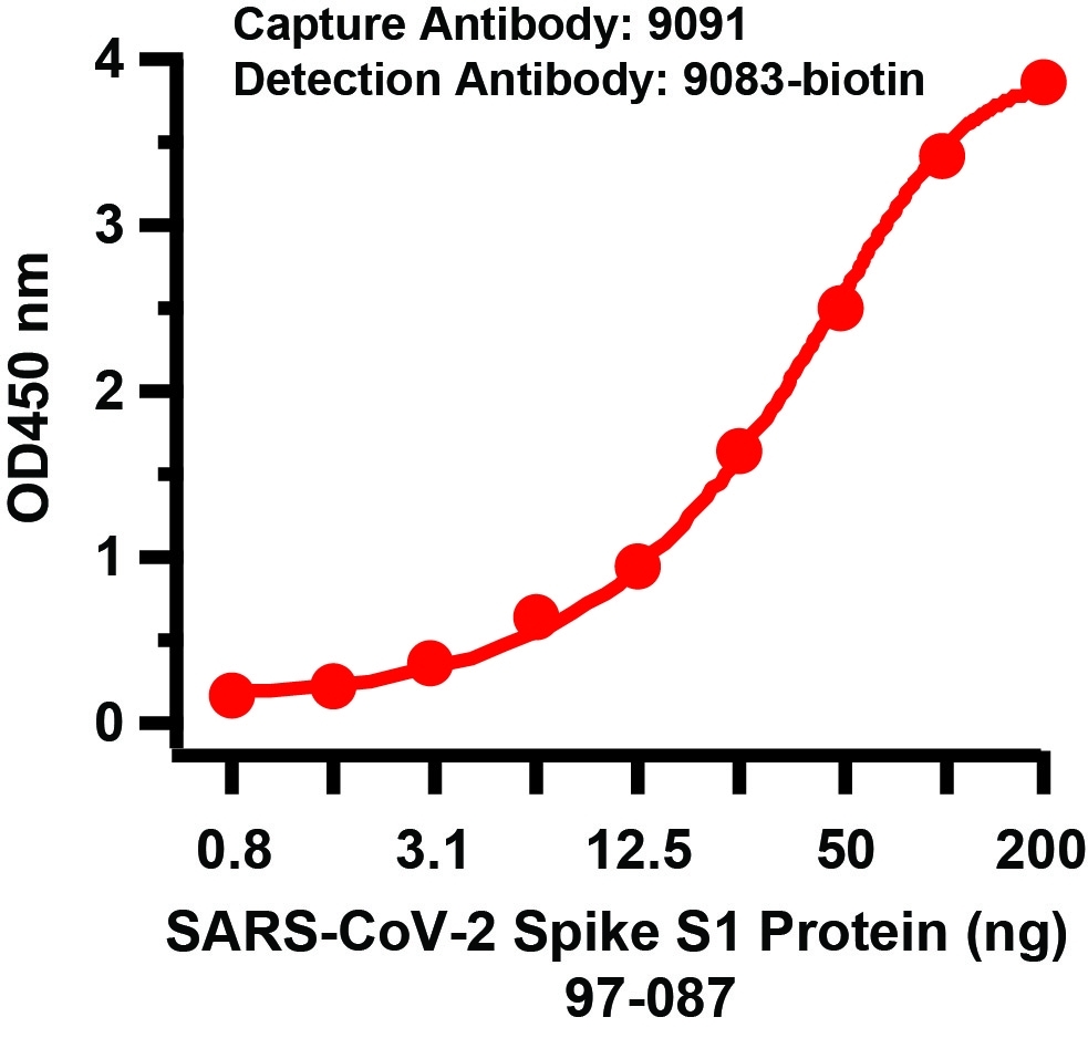 SARS-CoV-2 (COVID-19) Spike S1 Antibody (biotin) | Scientist.com