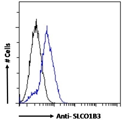 MDFI Antibody - Cat. No. 42-165 | ProSci