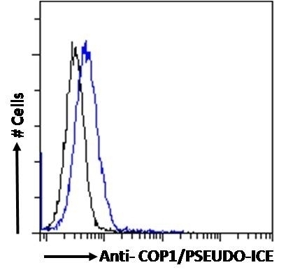 COP1 Antibody - Cat. No. 45-417 | ProSci