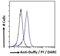 Duffy Antibody - Cat. No. 45-502 | ProSci