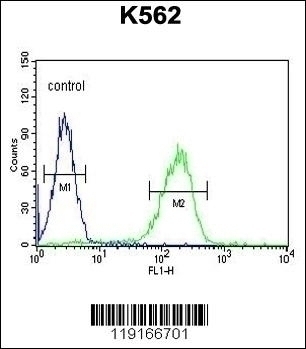APOL6 Antibody - Cat. No. 55-042 | ProSci