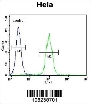 LMTK3 Antibody - Cat. No. 55-905 | ProSci