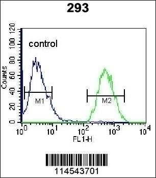 GPC6 Antibody - Cat. No. 55-977 | ProSci
