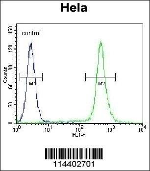 MIC1 Antibody - Cat. No. 56-032 | ProSci