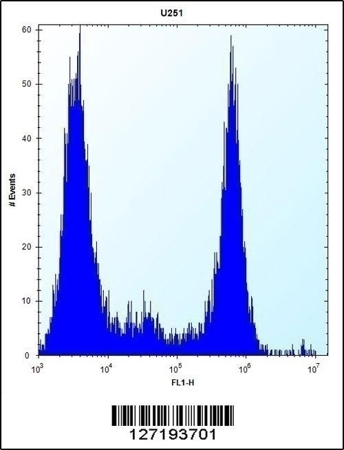 VPS37B Antibody - Cat. No. 56-419 | ProSci