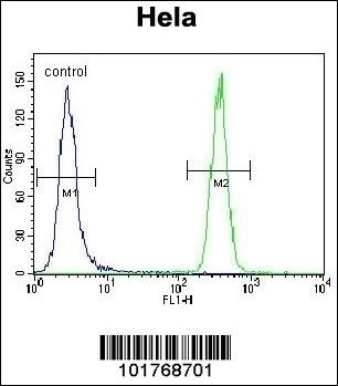 HSPA5 Antibody - Cat. No. 57-011 | ProSci