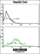 CD49e Antibody - Cat. No. 61-569 | ProSci