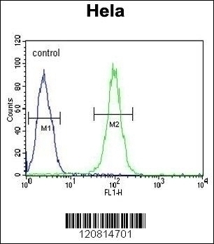 HSPA5 Antibody - Cat. No. 61-766 | ProSci