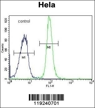 DONSON Antibody - Cat. No. 62-001 | ProSci