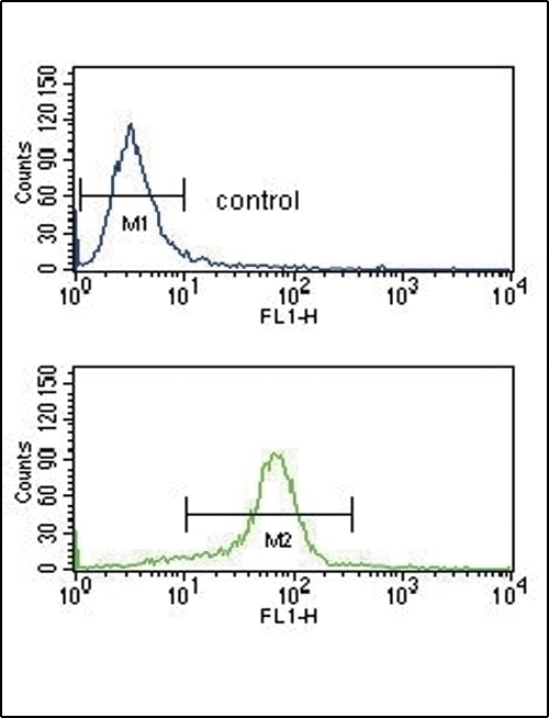 CACNA2D1 Antibody - Cat. No. 63-598 | ProSci