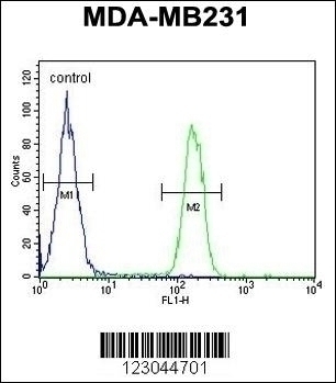 ARG1 Antibody - Cat. No. 63-727 | ProSci