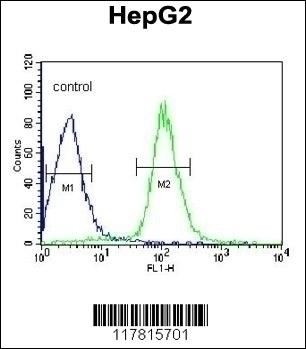 DIPA Antibody - Cat. No. 63-788 | ProSci