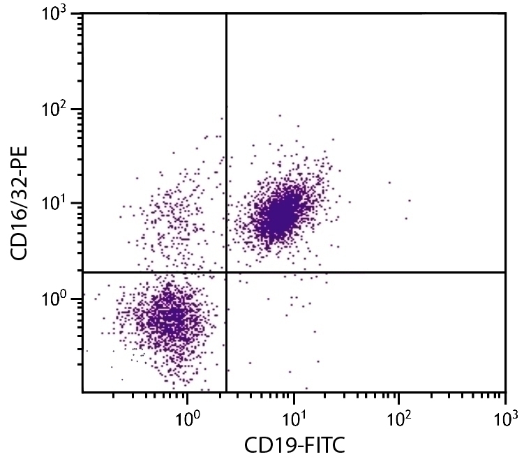 CD16/32 Antibody [93] (PE) - Cat. No. 98-742 | ProSci