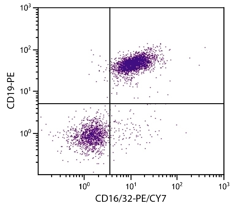 CD16/32 Antibody [93] (PE-Cy7) - Cat. No. 98-747 | ProSci