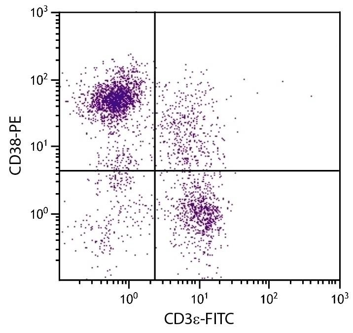 CD38 Antibody [90] (PE) - Cat. No. 98-758 | ProSci