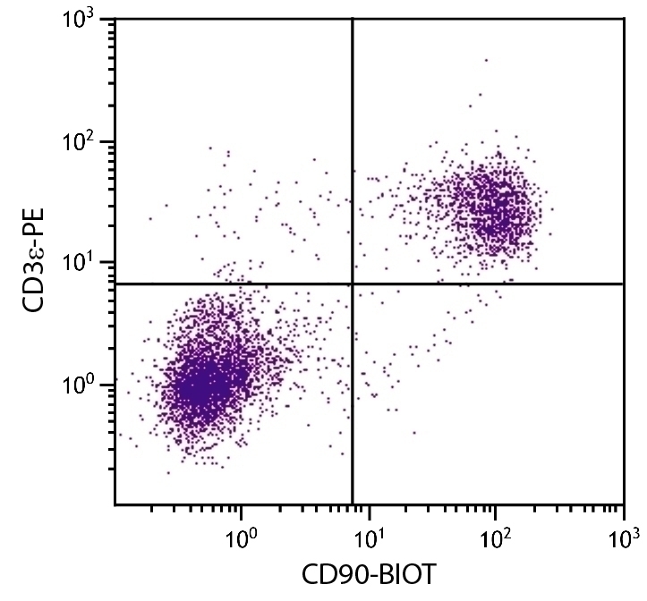 CD90 Antibody [G7] (Biotin) - Cat. No. 98-862 | ProSci