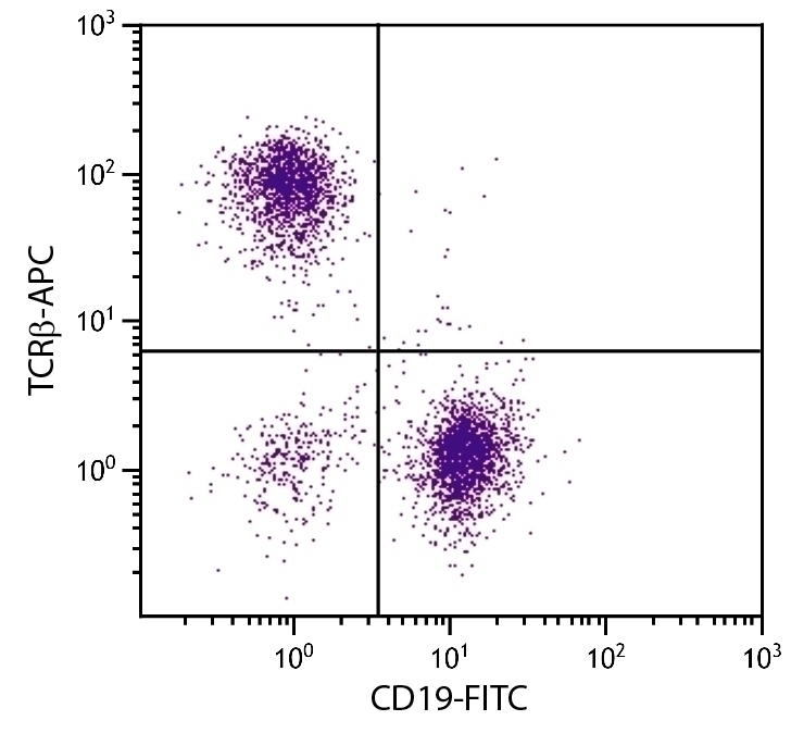 TCR beta Antibody [H57-597] (APC) - Cat. No. 98-902 | ProSci