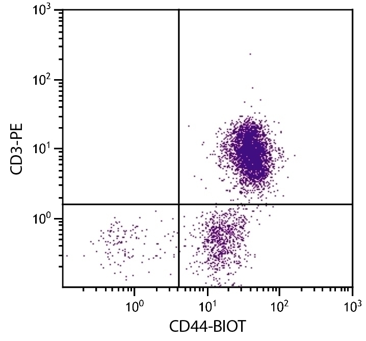 CD44 Antibody [AV6] (Biotin) - Cat. No. 99-316 | ProSci