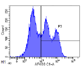 CD52 Antibody [Campath-1H], Rabbit IgG | ProSci Incorporated