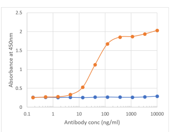 B7-H3 Antibody [MJ18], Rabbit IgG | ProSci Incorporated