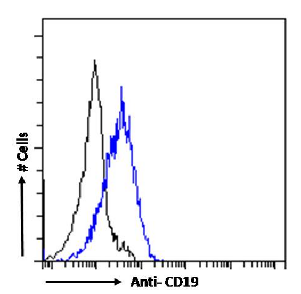 CD19 Antibody [CAT-13.1E10], Rabbit IgG | ProSci Incorporated