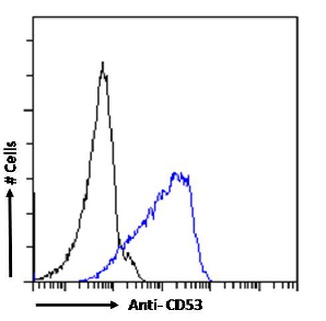 CD53 Antibody [HD77], Rabbit IgG | ProSci Incorporated